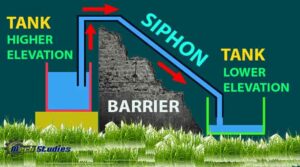What is Siphon or Syphon? Definition, Meaning, Works, Effects, Uses ...
