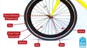What are Bicycle Wheels? Explore Different Parts of a Bicycle Wheel ...